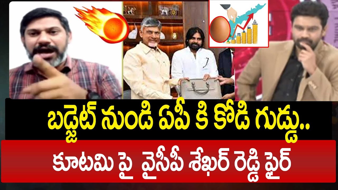 బడ్జెట్ నుండి ఏపీ కి కోడి గుడ్డు..కూటమి పై వైసీపీ శేఖర్ రెడ్డి ఫైర్ ...