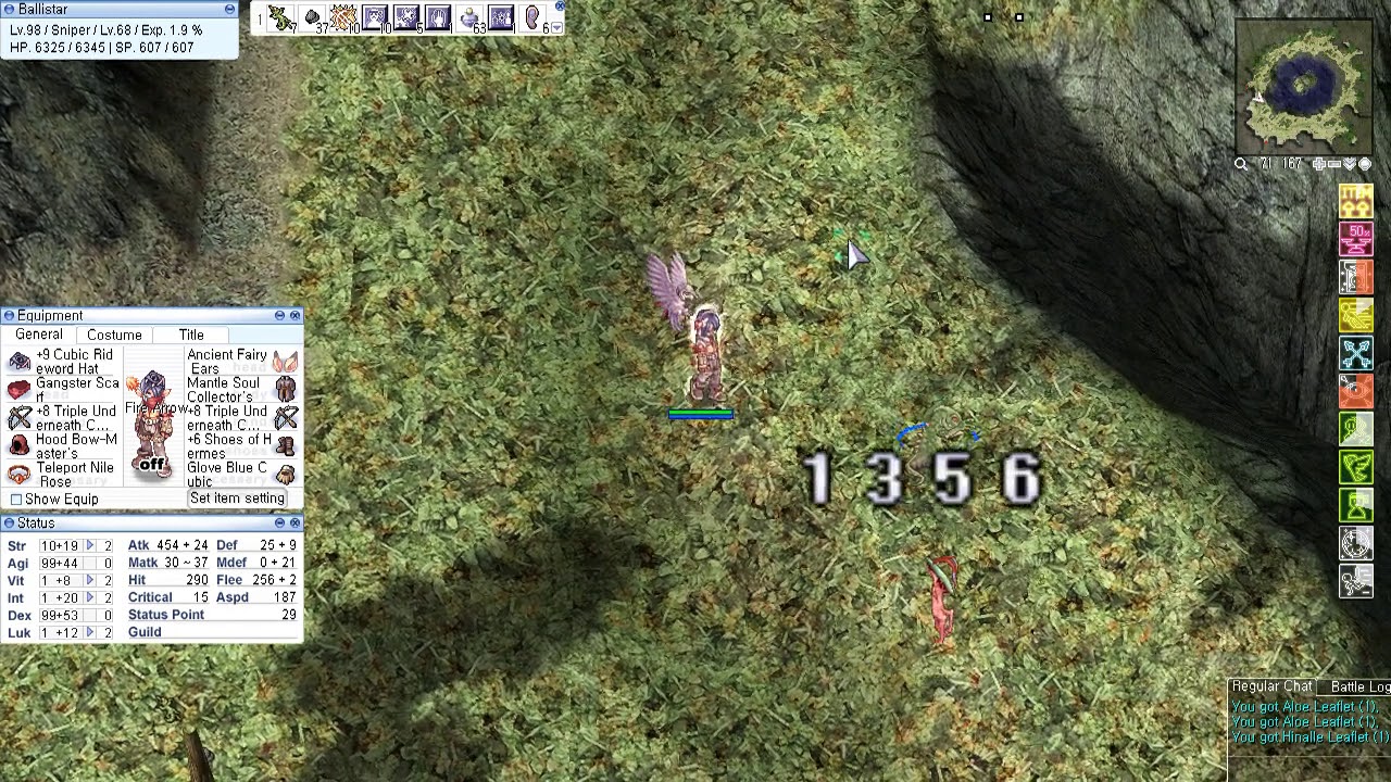 SolaceRO Aloe-Hinalle Leaflet Farming - YouTube