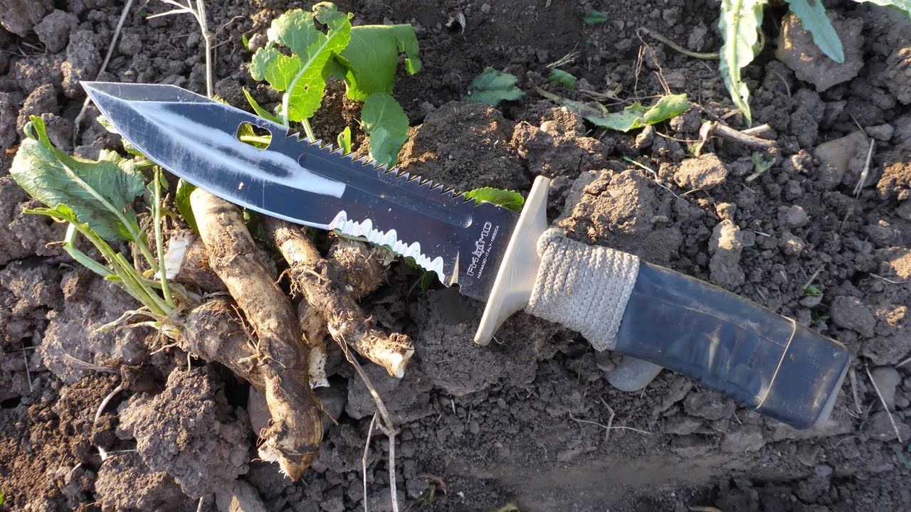 FOX FKMD SPARTAN LEONIDA Combat Survival Knife Field Test Review - YouTube