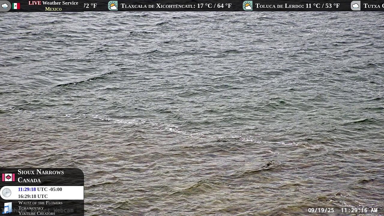 International live cameras and weather 🔴 LIVE Weather Service - YouTube