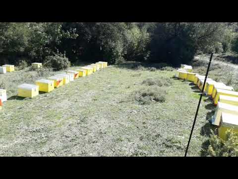 Μελισσοκομειο - YouTube