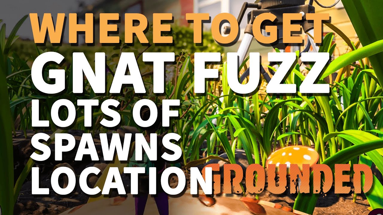How to get Gnat Fuzz Grounded Location - YouTube