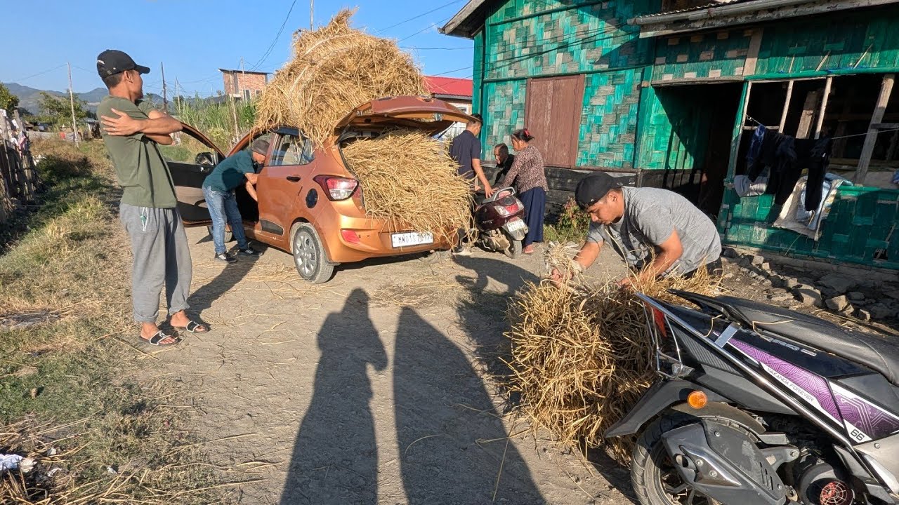 Lamka Daily | 24112024 Getting prepared for a festive session via ...