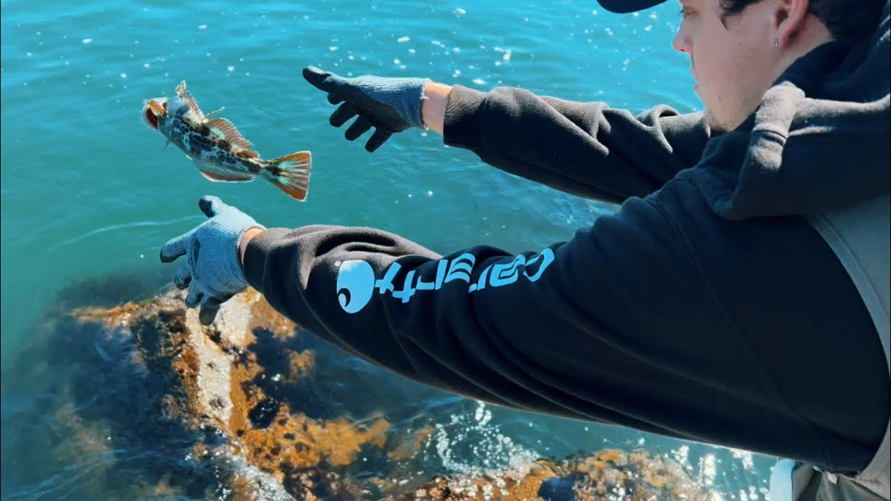 Goodbye Ocean… - YouTube
