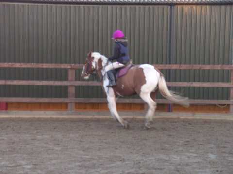 riding at grove house stables - YouTube