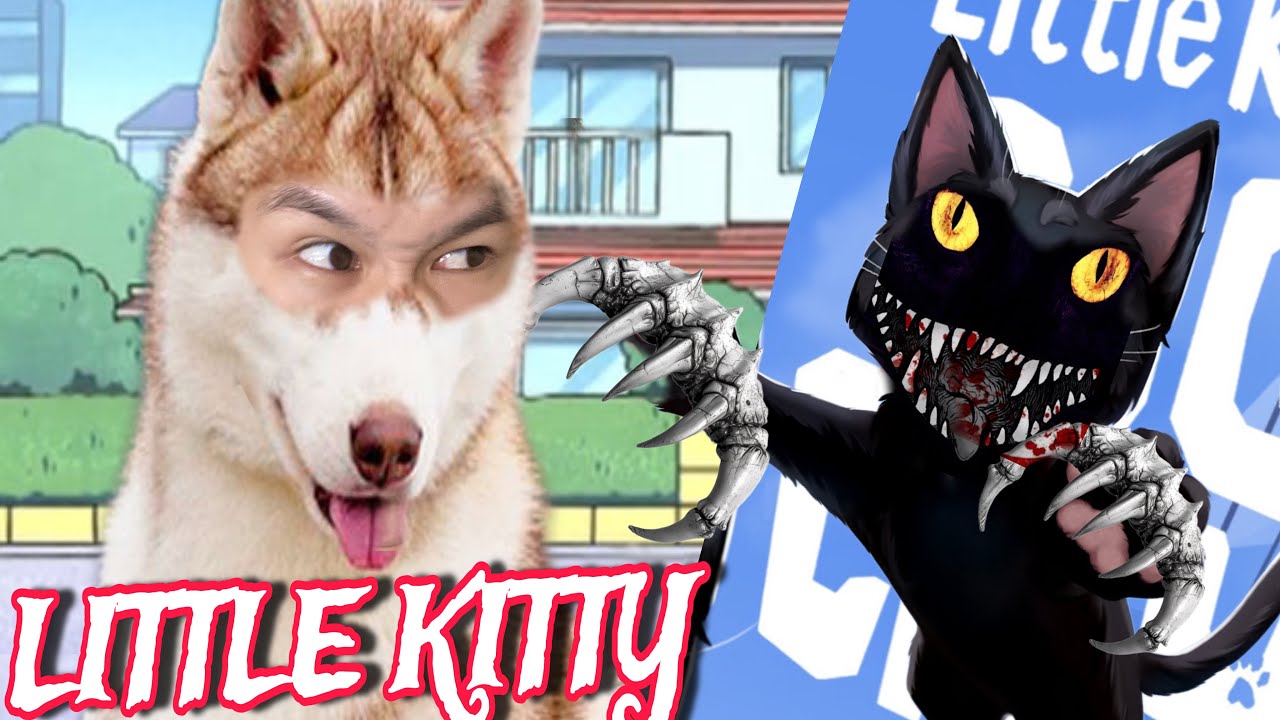 KUCING GILA little kitty - YouTube