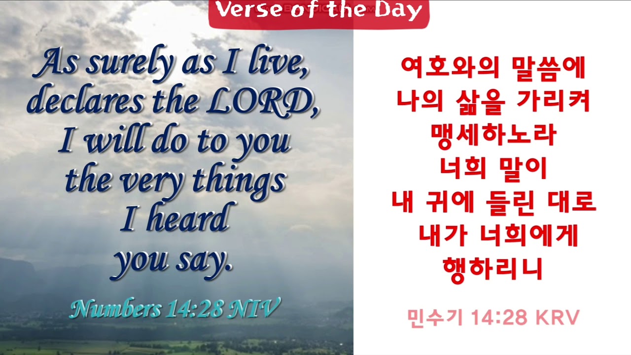 (BB말씀 0010) 내 귀에 들린 대로 너희에게 행하리니 - Numbers 14:28, 민수기 14:28 - 영어말씀암송하기 ...