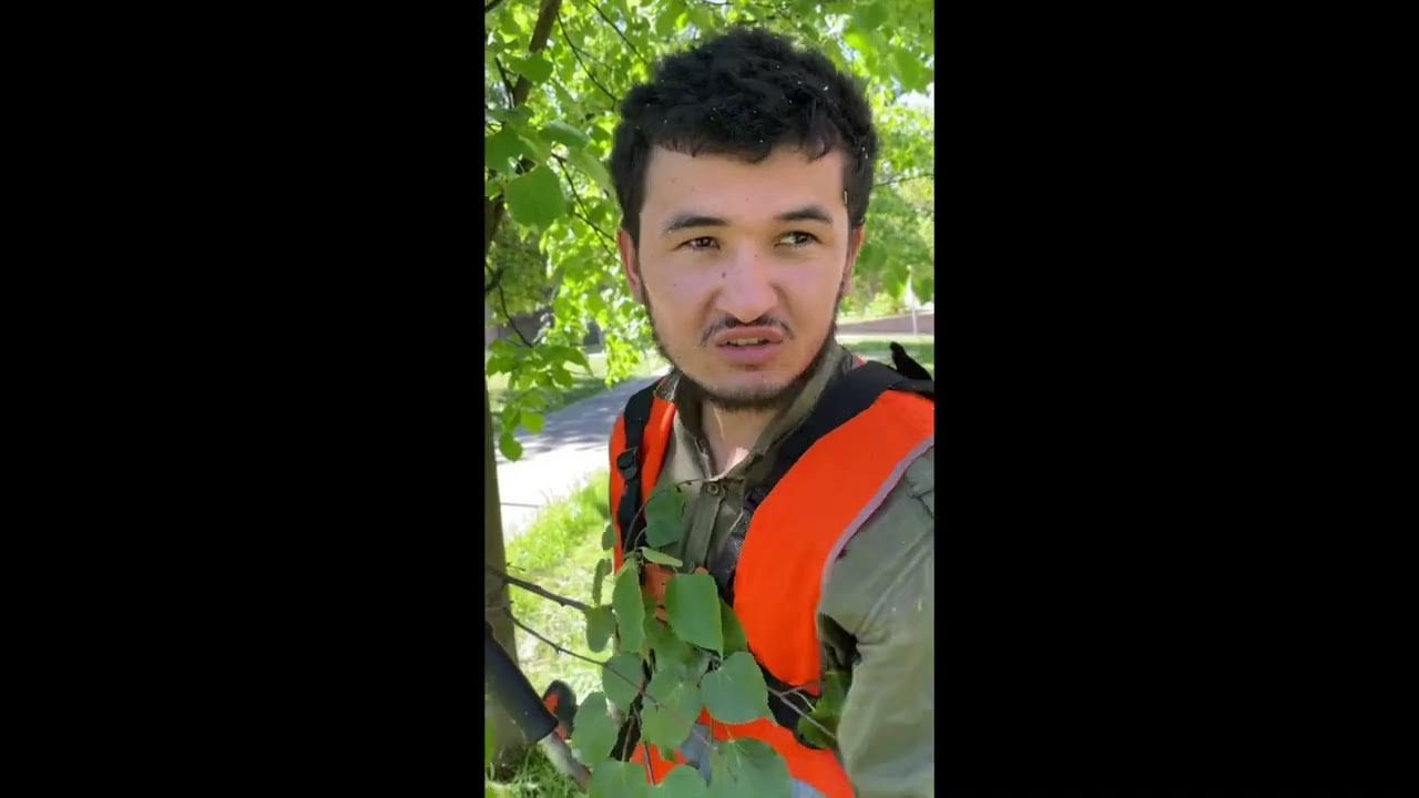 Газоны как не надо и надо косить. - YouTube