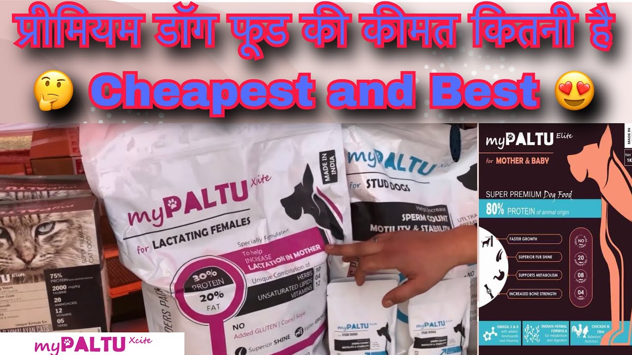 Cheapest and Best my PALTU Premium Dog Food 🥘 👍 - YouTube