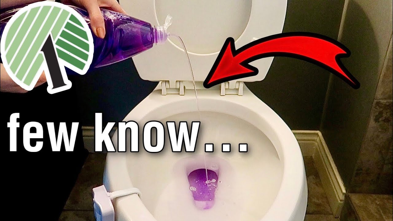 put this Dollar Tree MIRACLE in your toilet AT NIGHT! 😱 Watch This ...