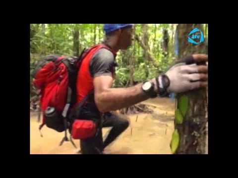 Yaquar marafon ATV SEHER