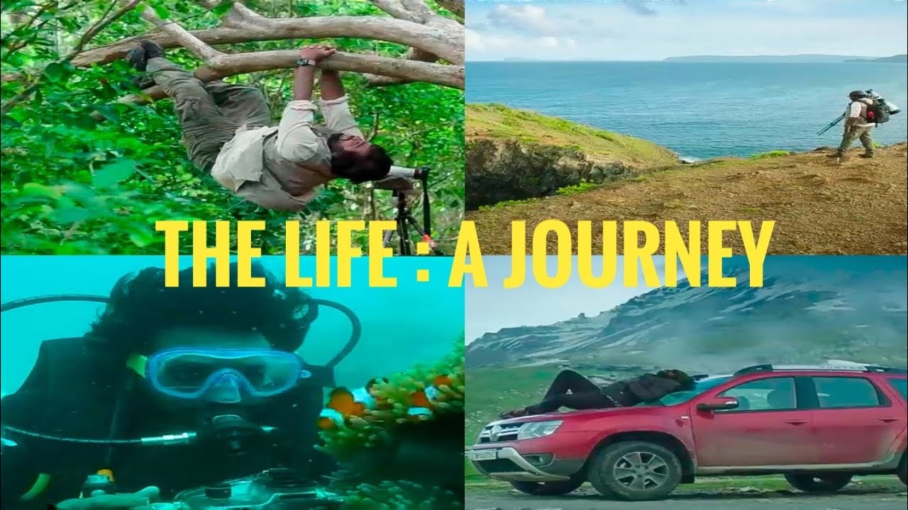 THE LIFE A JOURNEY SONG ENGLISH LYRICS YouTube the-life-a-journey-song-english-lyrics-youtube