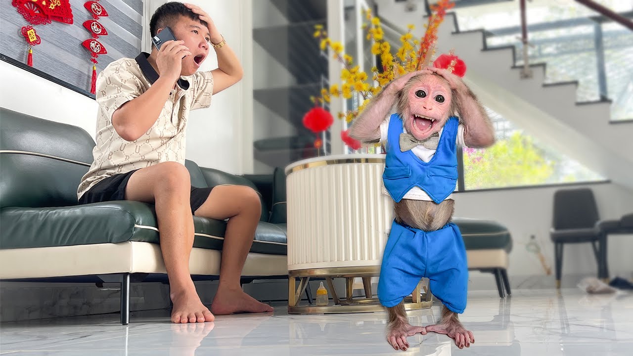 Cubis Monkey's Emotional Moment Auntie Can't Come Back - YouTube