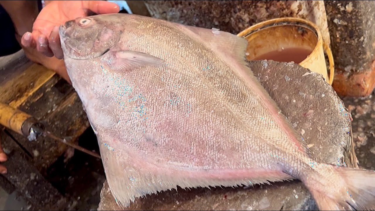 Large Pomfret Fish Cutting By Expert Fish Cutter | Big Fish Cutting ...