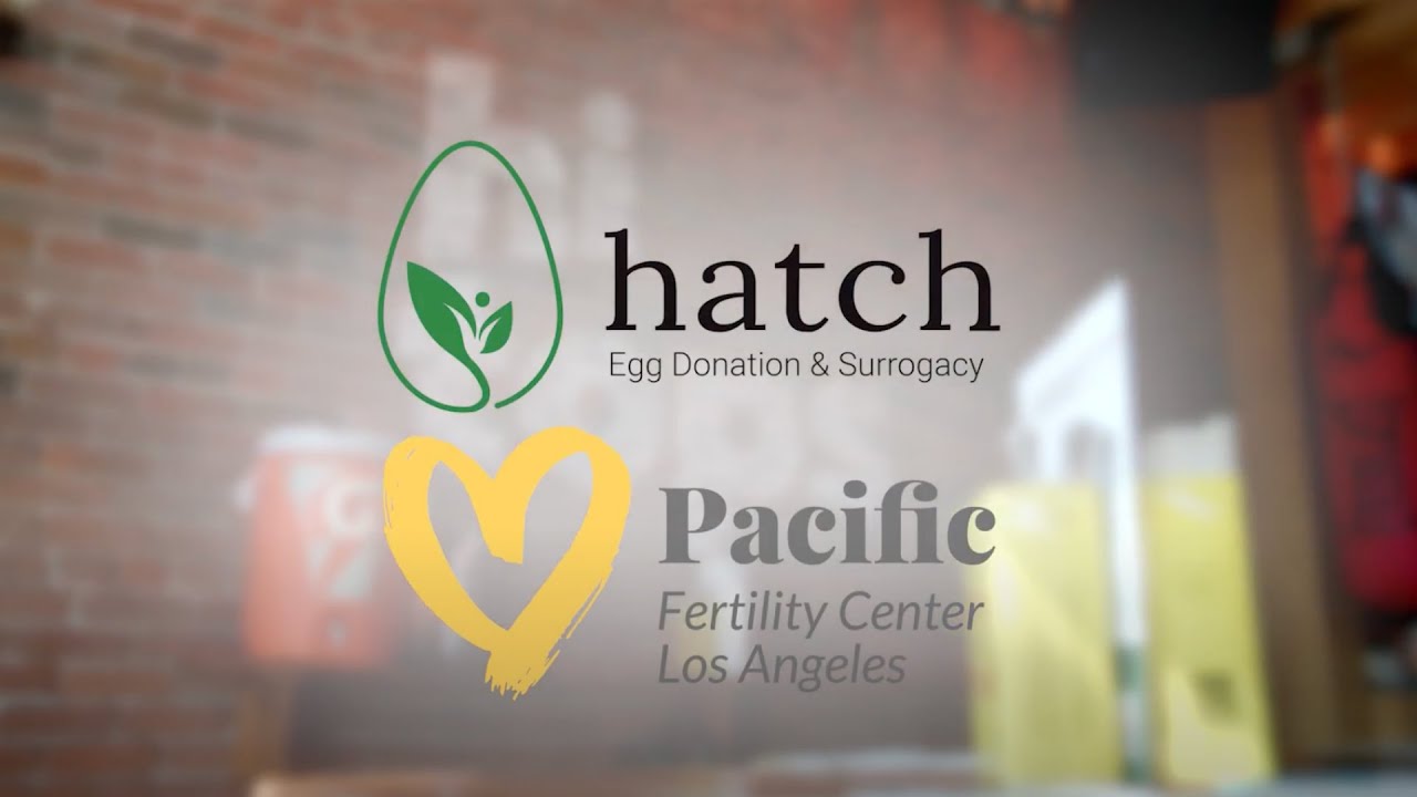 Events With Hatch Fertility - YouTube