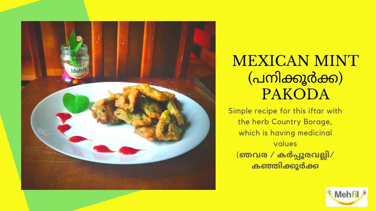 Mexican Mint / country borage pakoda - പനിക്കൂർക്ക/ഞവര/കർപ്പൂരവല്ലി ...