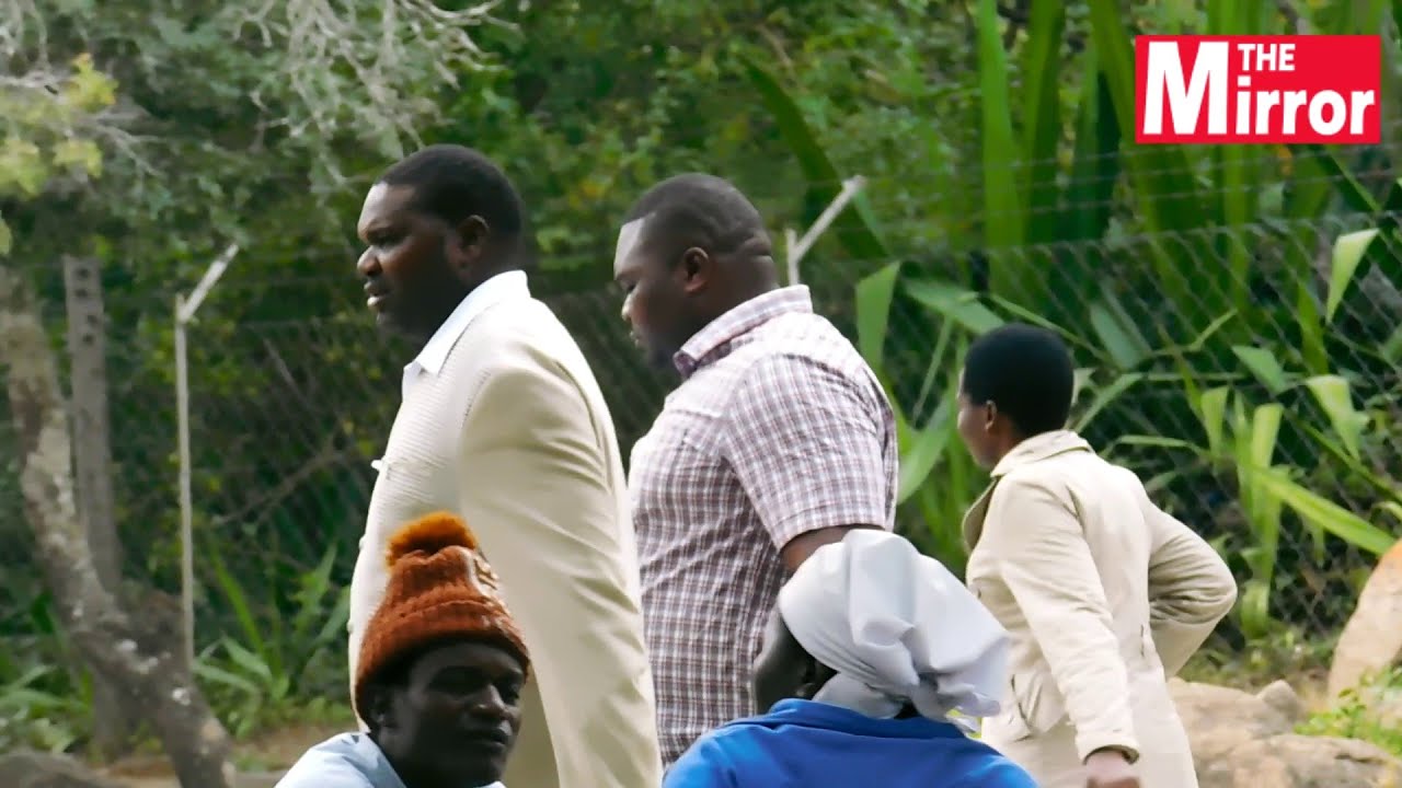 Zanu PF Gutu ‘terror gang leaders’ at court - YouTube