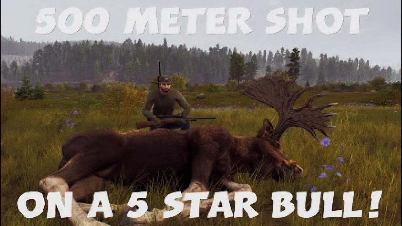 5 star bull from 500 meters and more giants! | way of the Hunter - YouTube