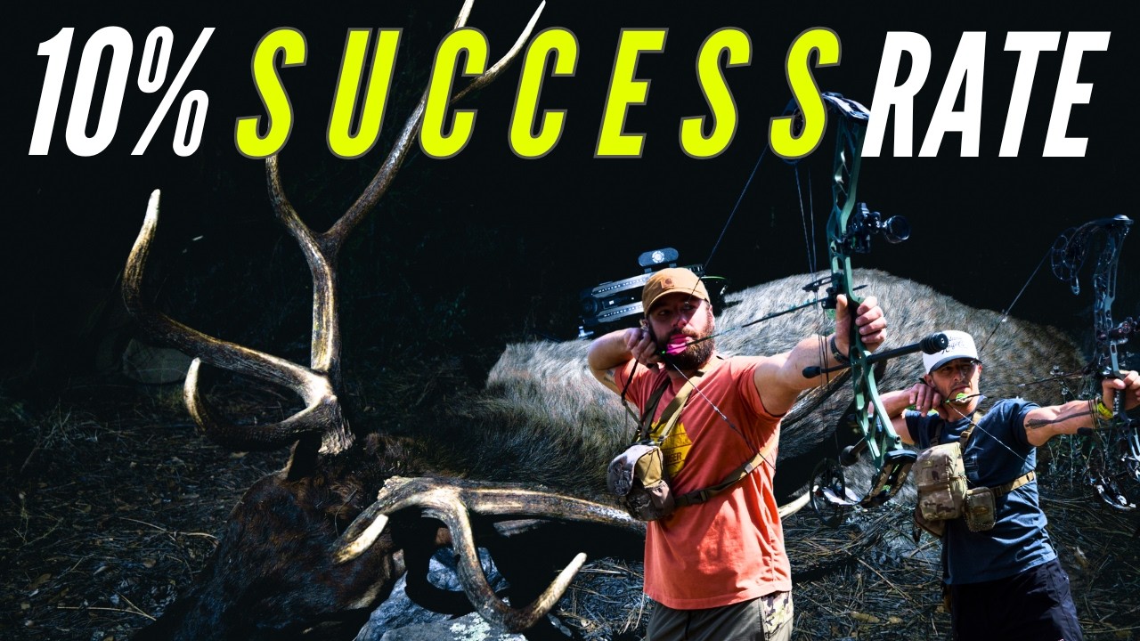 Only 10% Will Succeed - Archery Elk Hunting Mindset Unlocked 🔓 - YouTube