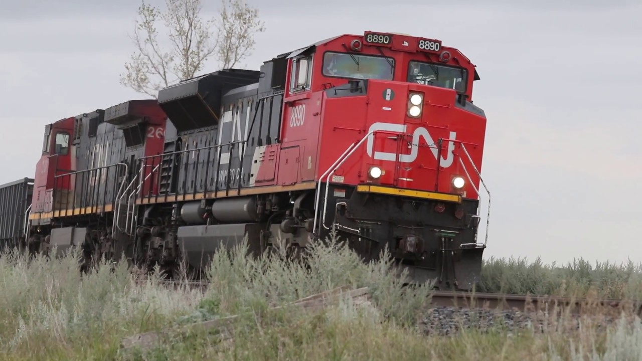 FIVE trains! VIA and CN, August 2018 - YouTube