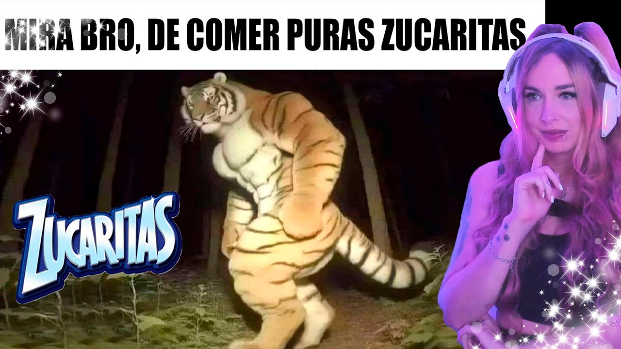 Reaccionando a los mejores MEMES RANDOM | LOS MEMES MAS GRACIOSOS 😂 ...