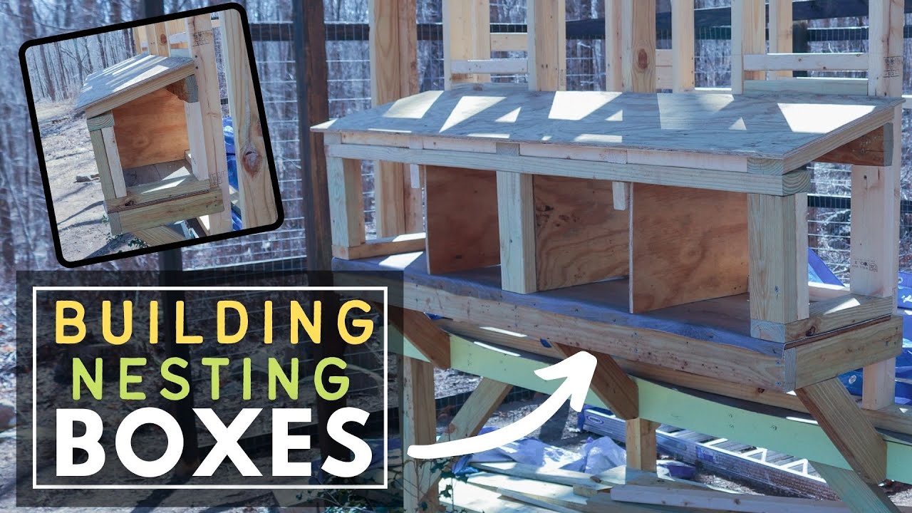 EXTERIOR NESTING BOXES | Building a Chicken Coop - YouTube