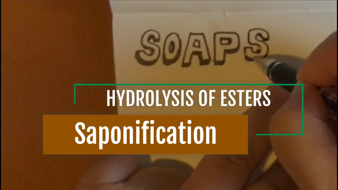 SAPONIFICATION | HYDROLYSIS OF ESTERS - SOAP-MAKING REACTION - YouTube
