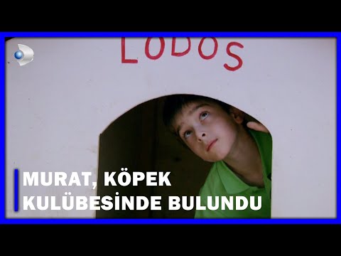 Murat, Köpek Kulübesinde Bulundu! - Fatmagül'ün Suçu Ne? 78.Bölüm