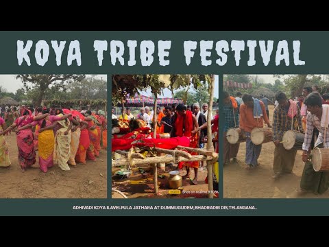 tribal cultural festival.koya tribe ilavelpula jathara at dummugudem ...