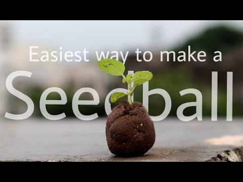 How to make seed balls at home - YouTube