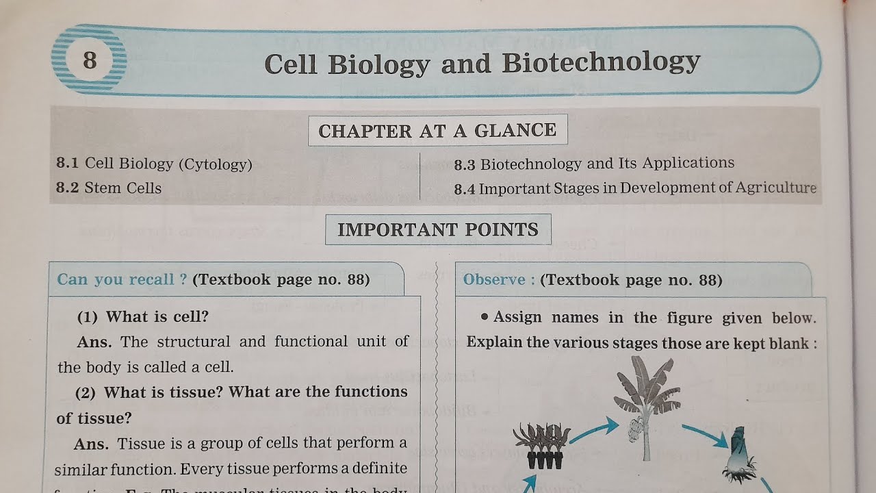 Class 10th Science 2 Chapter 8. Cell Biology And Biotechnology Navneet ...