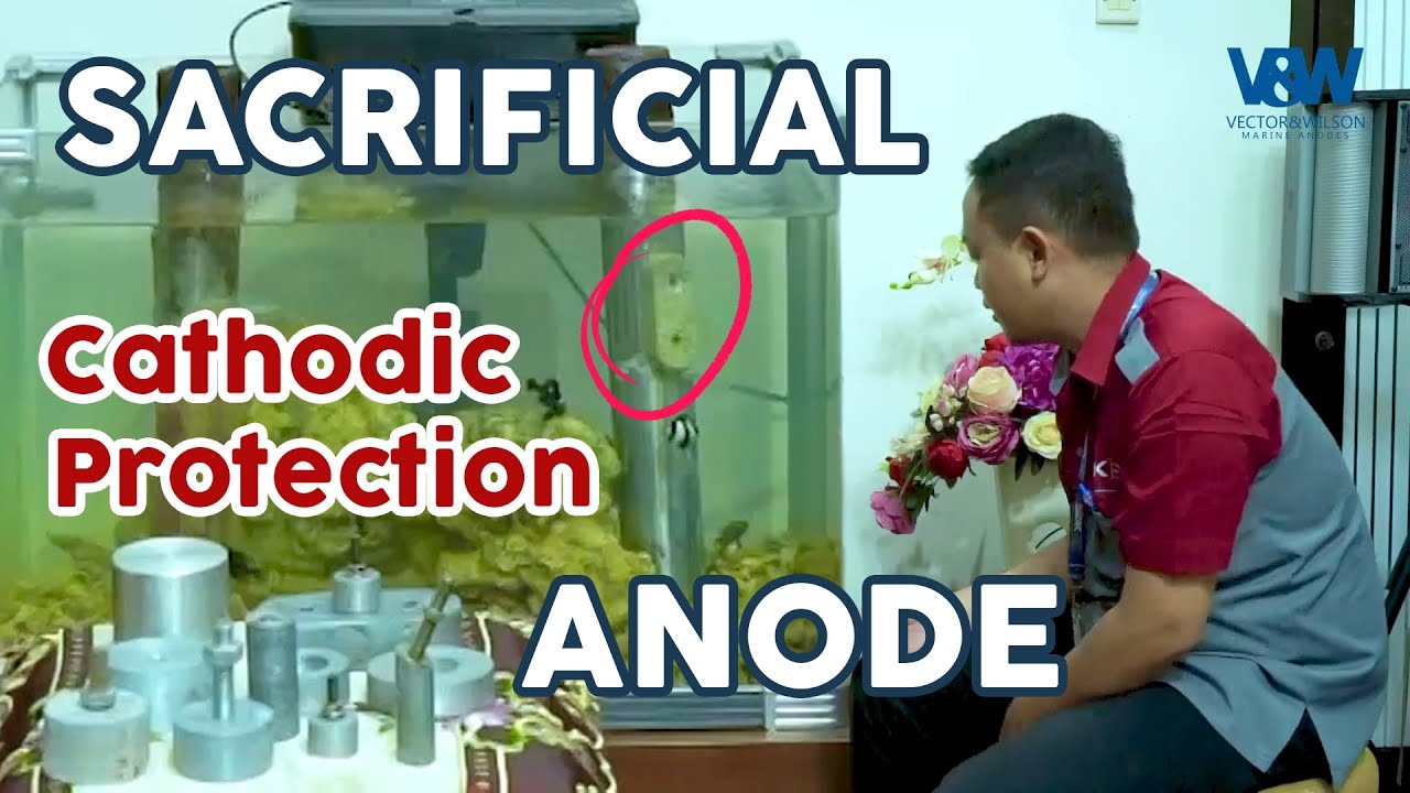 Sacrificial Anode Cathodic Protection Allied Corrosion || Galvanic ...