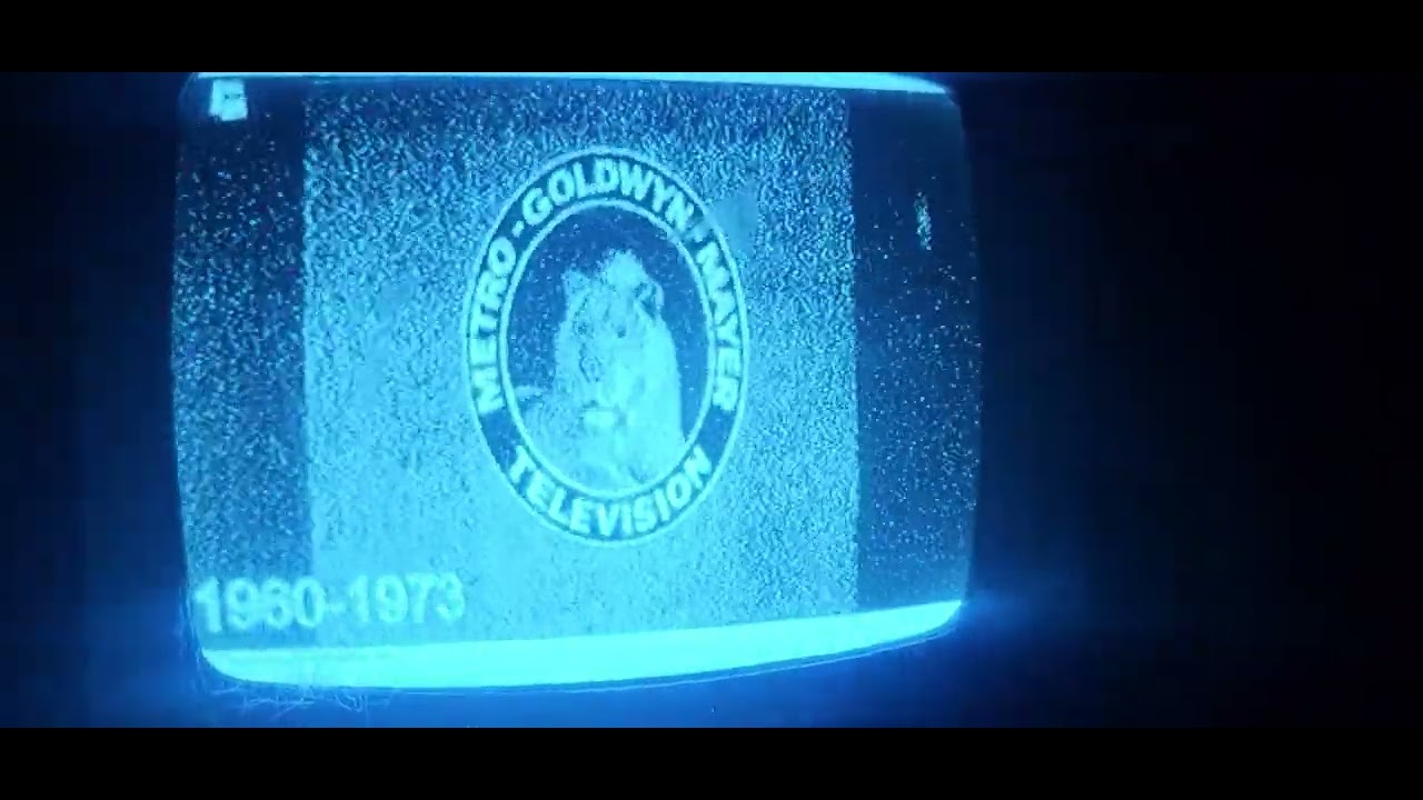MGM Television Logo on the 1984 TV - YouTube