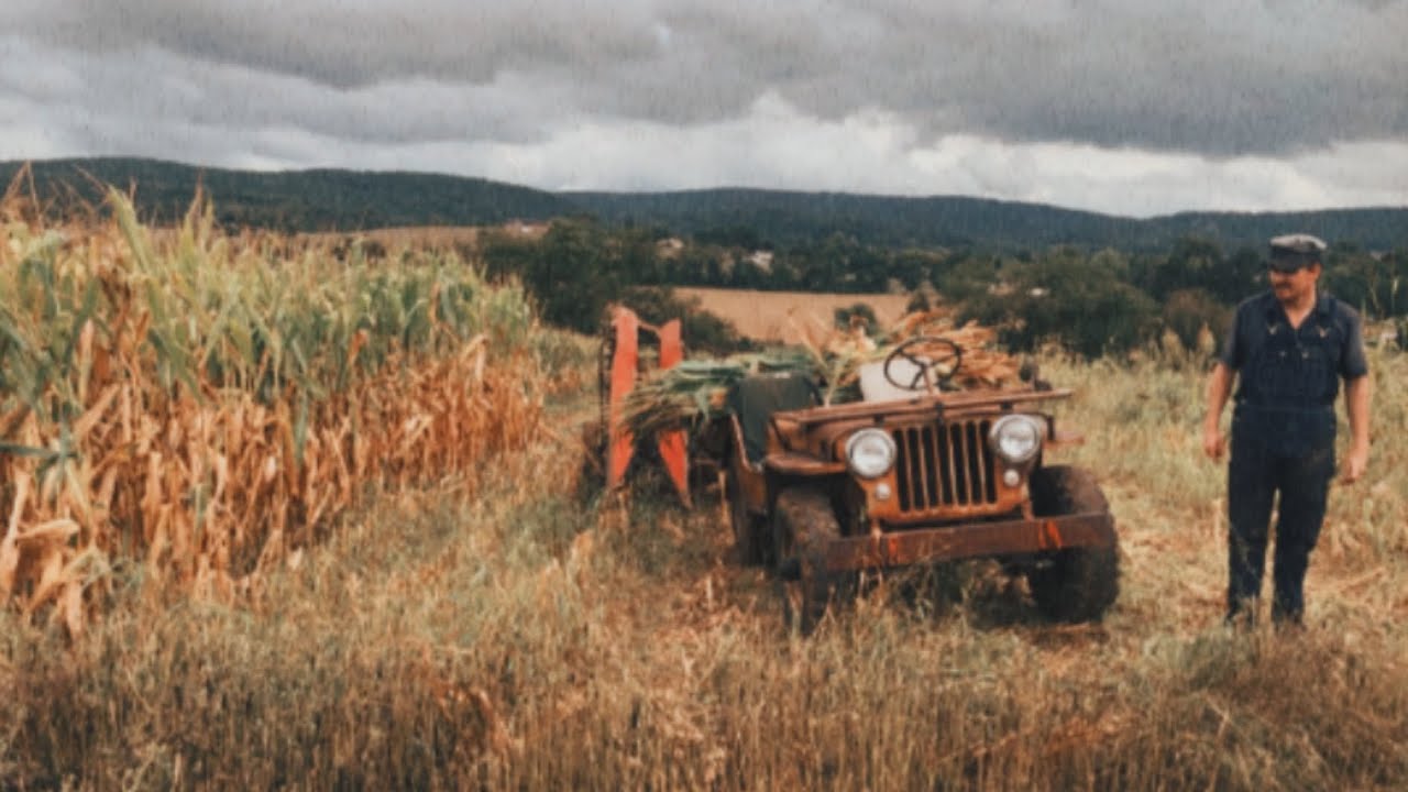 Corn Binding with a McCormick Deering Corn Binder - YouTube