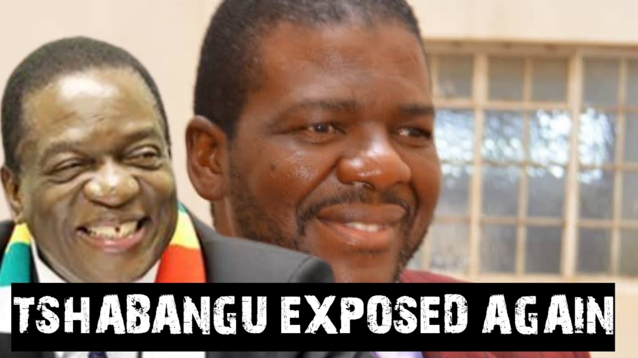 Tshabangu EXPOSED In Court, Mnangagwa desperation will not work - YouTube