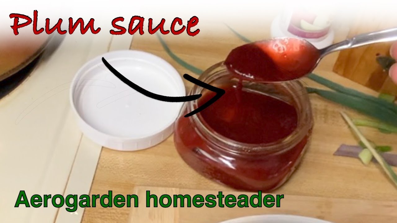 How to use overripe and sour plums - Preserving the harvest - YouTube