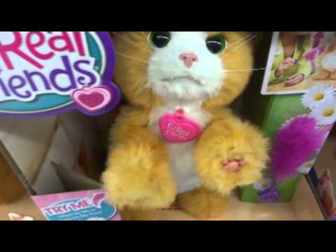 FurReal Friends Daisy Plays With Me Kitty Pounces, Jumps, Wiggles her ...
