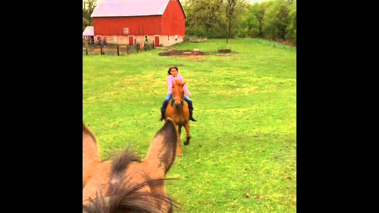 Riptide (horse riding video) - YouTube
