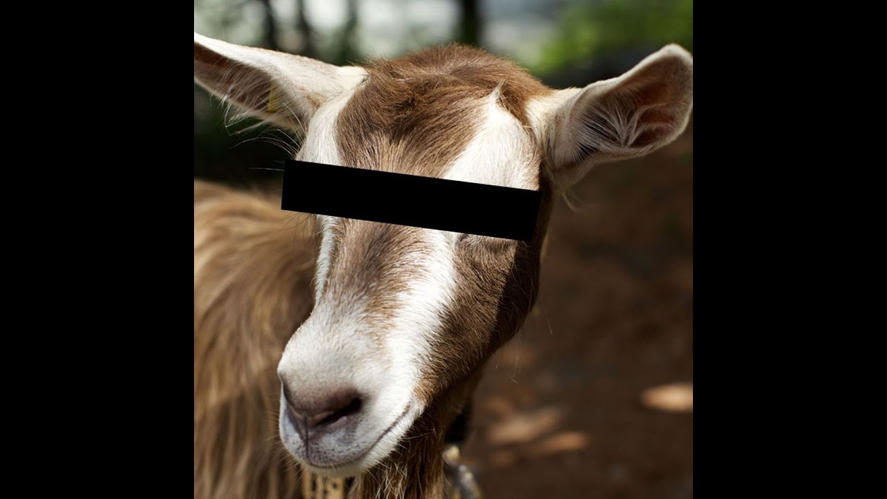 Mark n Lard "The Goat Story" - YouTube