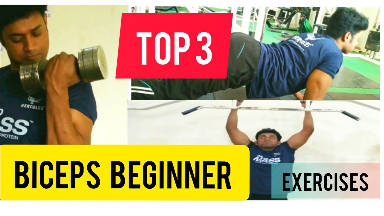 Biceps Beginner Top 3 Exercises - YouTube