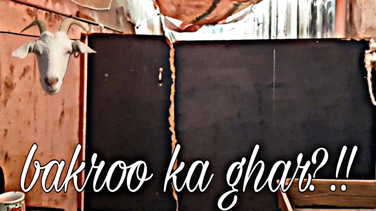 Ghar ke pieche Bakroo ka Ghar?!?!🐐🐐🐐🐐 - YouTube
