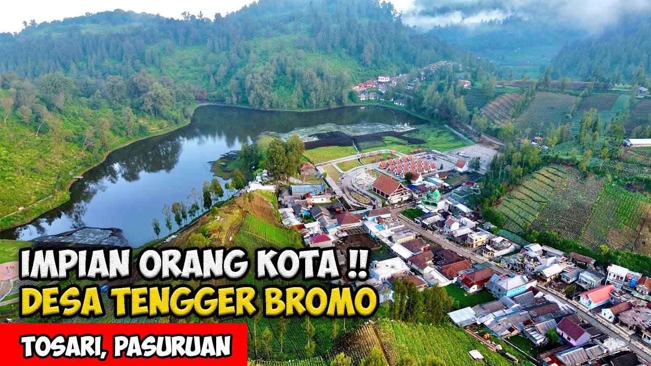 DESA IDAMAN ORANG KOTA !! SUASANA DESA SUKU TENGGER BROMO - Cerita Desa ...