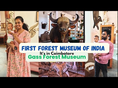 Hidden Museum in Coimbatore🏰 What's inside it🤔A detailed Vlog|Gass ...