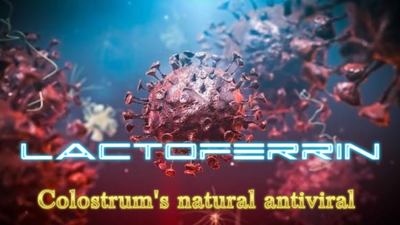 Lactoferrin: Colostrum's natural antiviral - YouTube