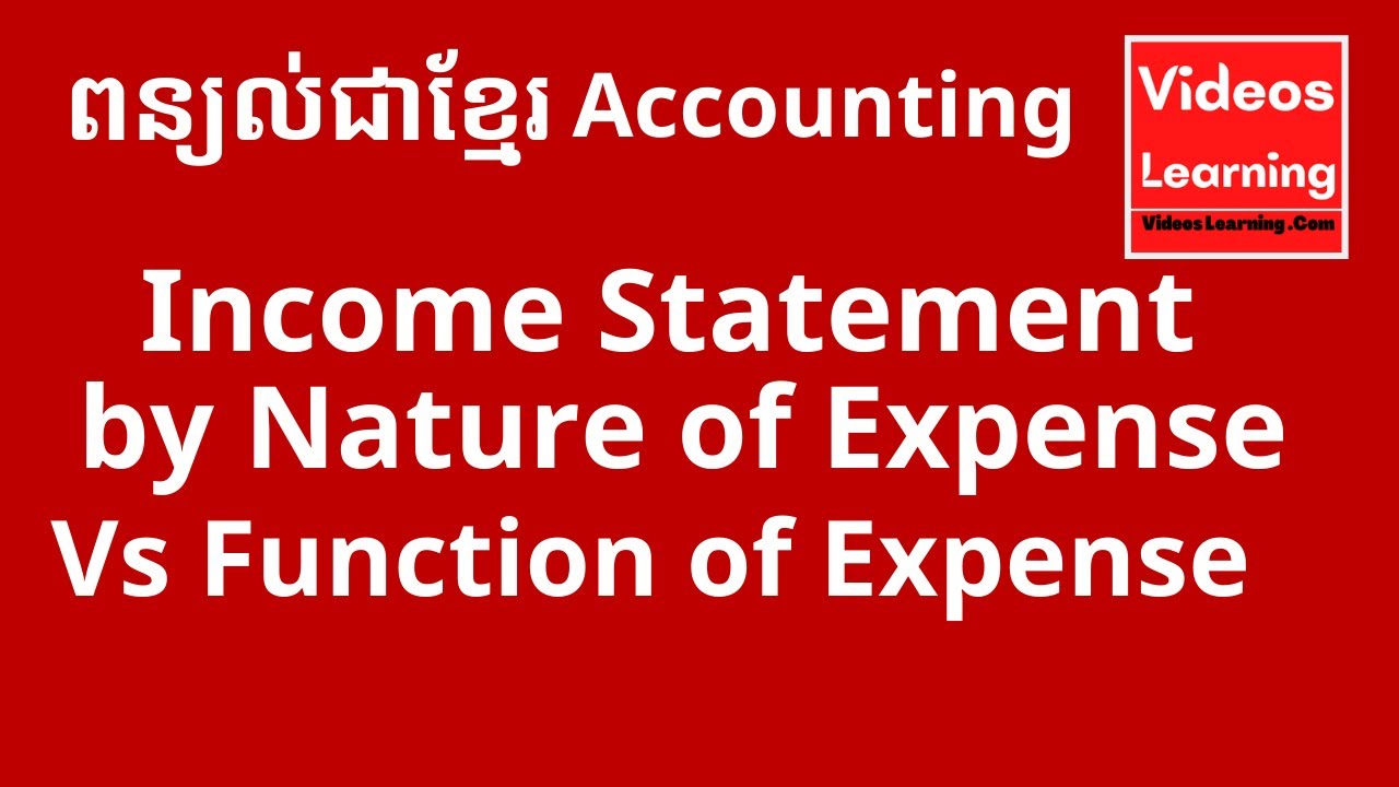 របាយការណ៍ចំណេញ-ខាត (តាមប្រភេទ ឬ មុខងារចំណាយ) /Income Statement by ...