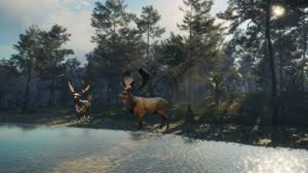 Great one fallow deer #2! Fabled Golden Spoon Rack! And a Super Rare ...