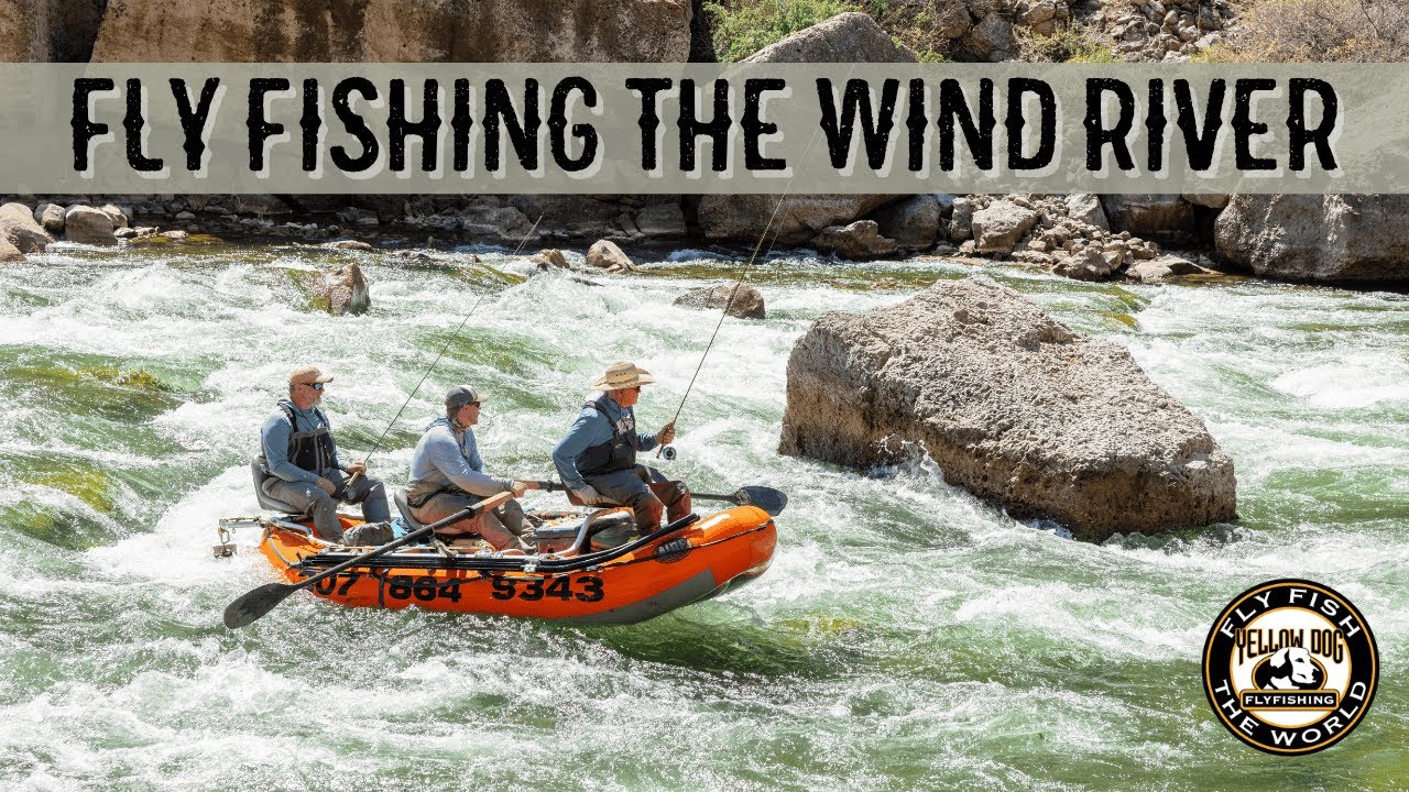 Fly Fishing the World-Famous Wind River - YouTube
