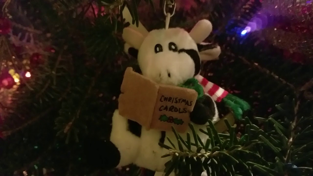 Singing Christmas Cow - YouTube