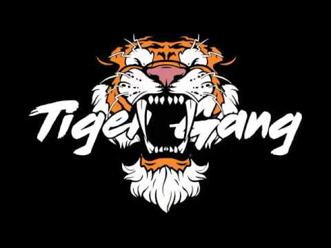 Young Lobo - Tiger Gang - YouTube