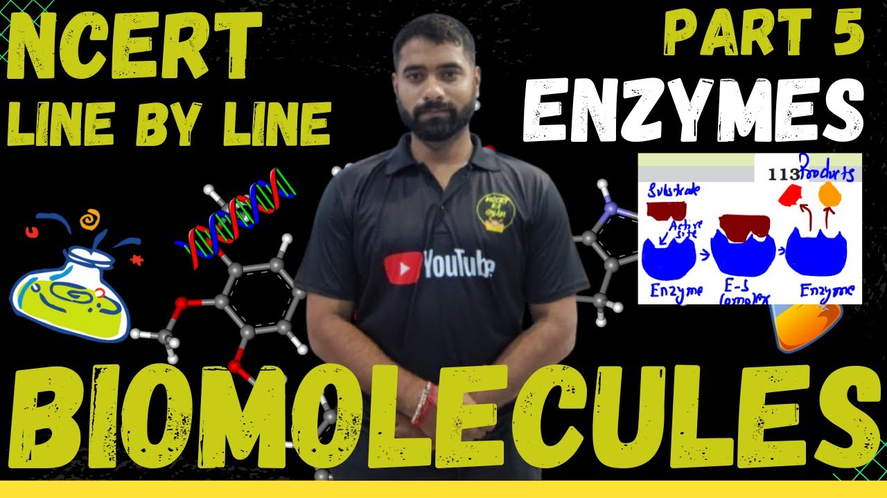 Enzymes | Biomolecules Class 11th Biology NCERT Line by Line | NEET ...